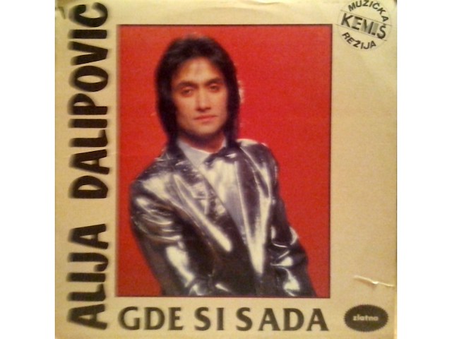 ALIJA DALIPOVIĆ - GDE SI SADA