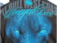 Pitbull west coast duks (blue eyed devil)