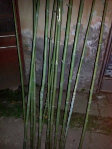 Štapovi od bambusa za pecaljke ili dekoraciju