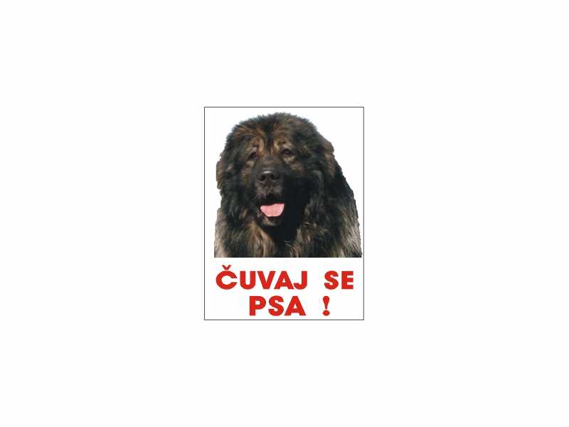 cuvaj se psa sarplaninac