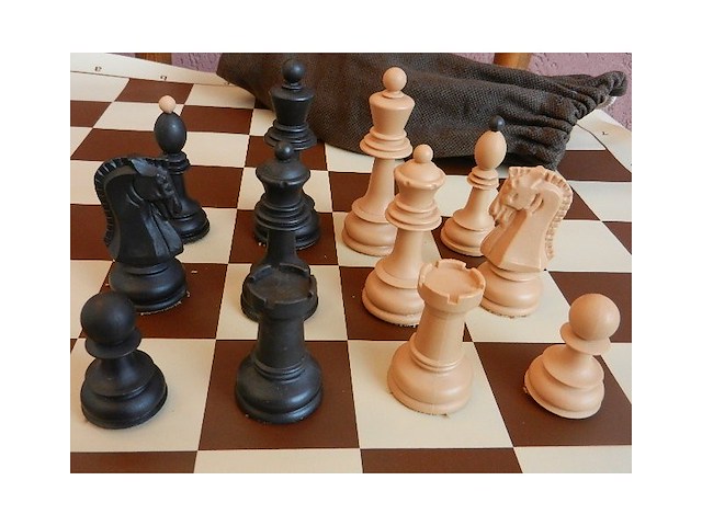 Plastične šah figure `Caissa 6`
