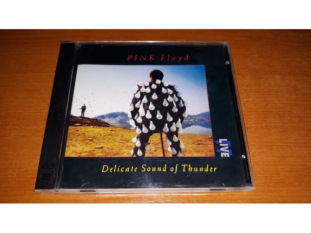 Pink Floyd ‎– Delicate Sound Of Thunder