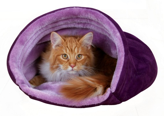 Lezaljka tunel za mace Kitty Darling