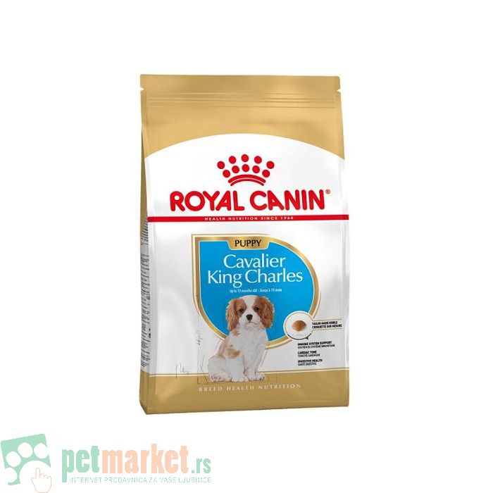 Royal Canin: Breed Nutrition Kavalirski Španijel Kralja Čarlsa Puppy, 1.5 kg
