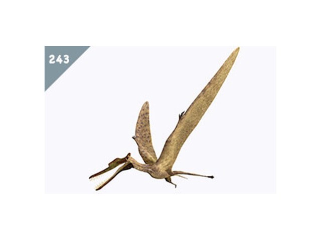 a ŽIVOTINJSKO CARSTVO 2016 br.243 Pterosaurus