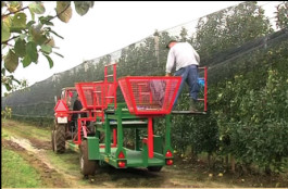 Platforma za berbu voća
