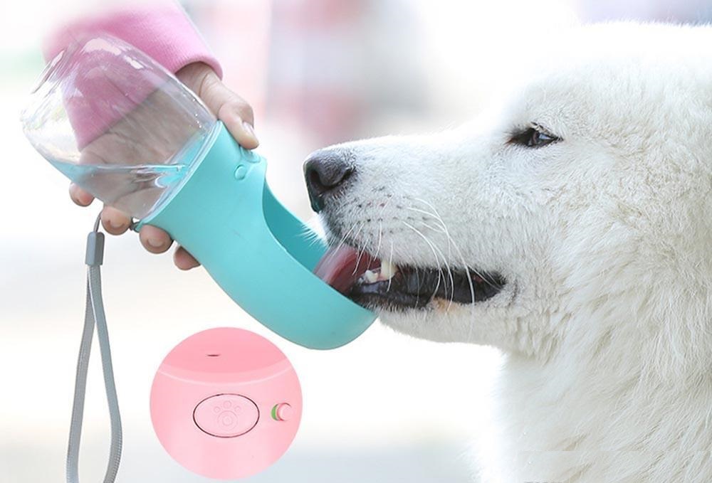 Flasica za vodu sa posudom za pse