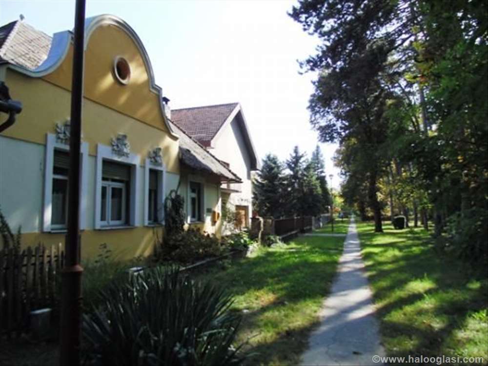 Renovirana vila na Paliću