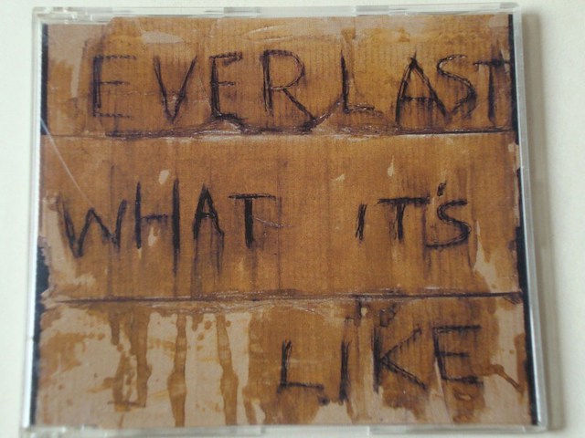 Everlast - What It`s Like