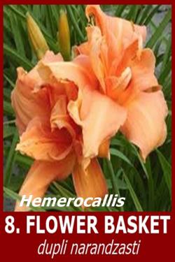 8. Hemerocallis Flower Bsket