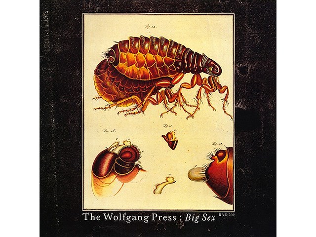 The Wolfgang Press - The Big Sex EP
