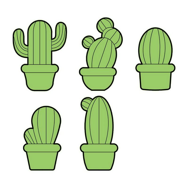 Kaktusi SET