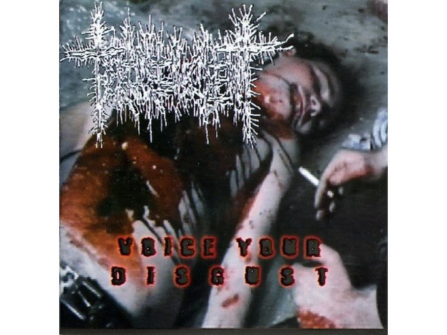 CD TORTURE INCIDENT / BRUTAL INSANITY split (2002)