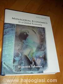 Managerial Economics in a Global Economy - 5th Edi