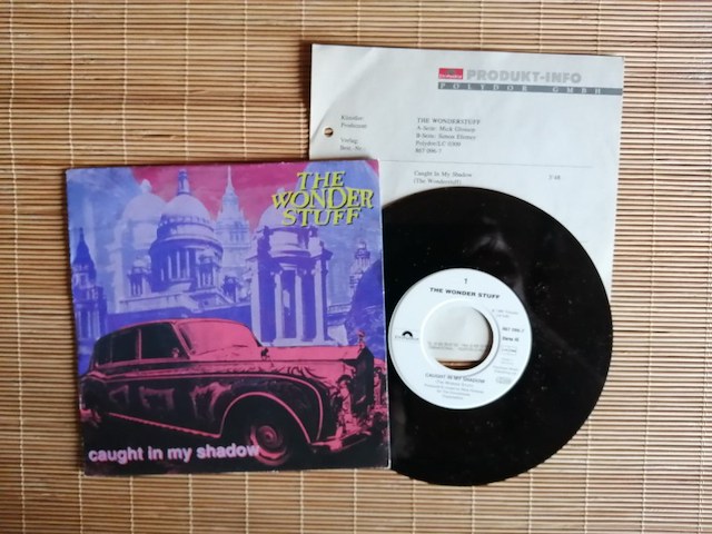 The Wonder Stuff ‎– Caught In My Shadow