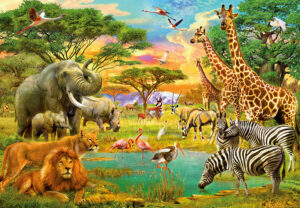 African Animals 00154