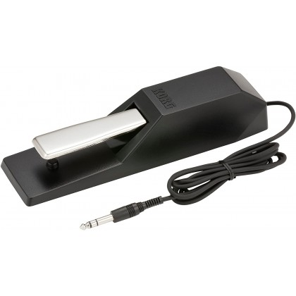 Music box
Korg DS-1H sustain pedala