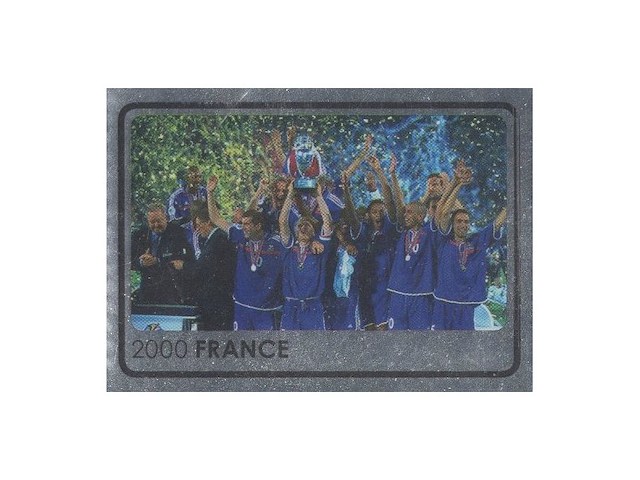 EURO 2008 sličica broj 534, Panini