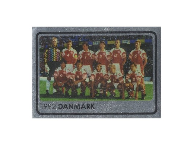 EURO 2008 sličica broj 532, Panini