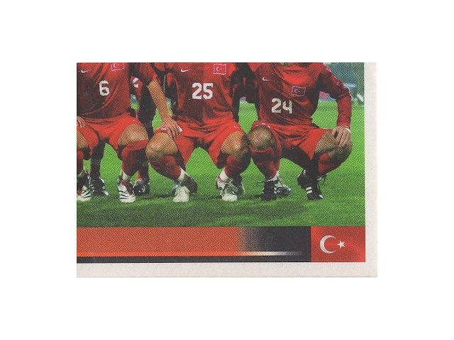 EURO 2008 sličica broj 128, Panini