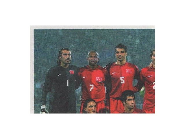 EURO 2008 sličica broj 125, Panini