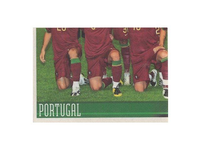 EURO 2008 sličica broj 101, Panini