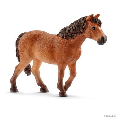 Pony kobila Dartmoor