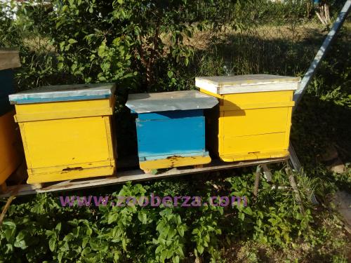 Prodaja pčelinjih društava