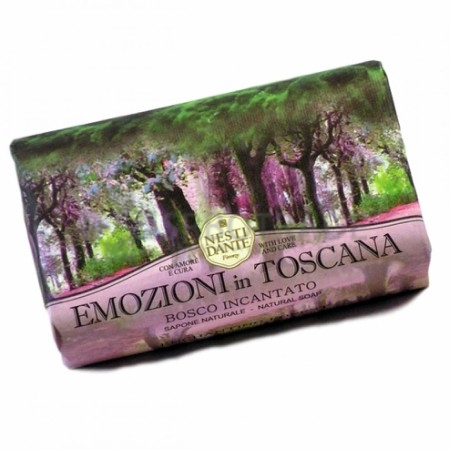 Nesti Dante Emozioni in Toscana čarobna šuma