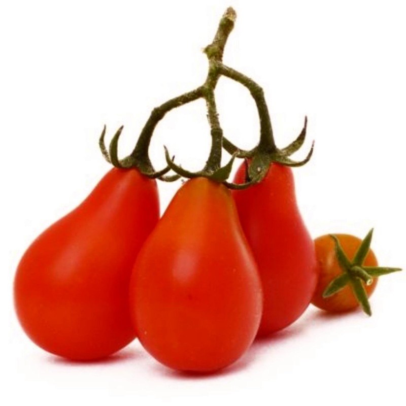 Kruska Paradajz Seme Red Pear