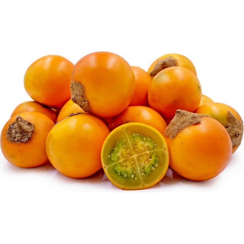 Naranjilla Lulo Seme (Solanum quitoense)