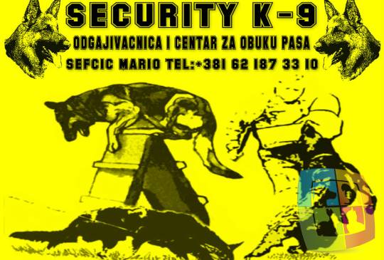 SECURITY K-9 prodaja i obuka pasa