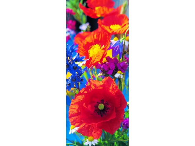 Foto tapet za vrata W+G 86x200 WG515