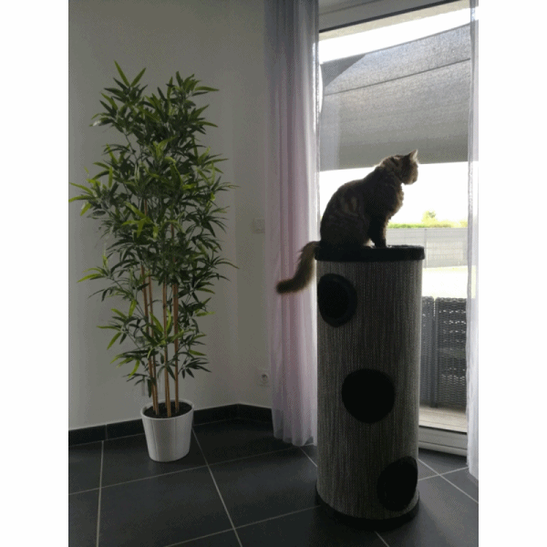 Grebalica Toranj Trixie Amado Cat Tower