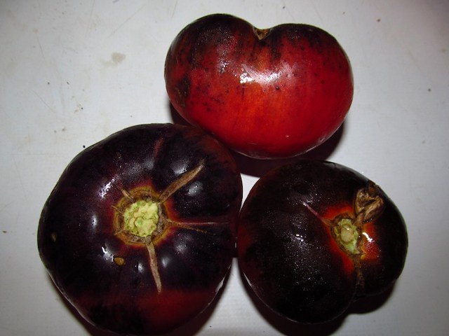 Black beauty paradajz, seme 10 komada