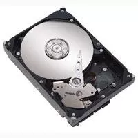 SEAGATE DiamondMax 320 GB