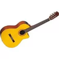 Klasična gitara sa ozvukom - Takamine EG124C