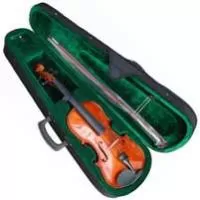 Violina sa koferom Eclipse CX-S140 1/2