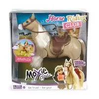 Moxie Horse Riding Club - Konj Cricket 509929