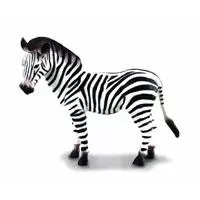 Collecta Divlje Životinje Zebra CT88032