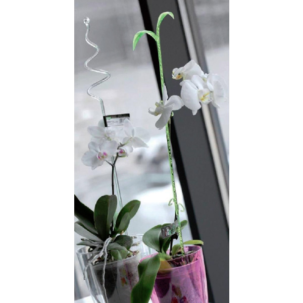 Štap za Orhideje Coubi Prosperplast PR ISTC01