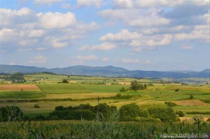 Poljoprivredno zemljiste povoljno-Petrovac