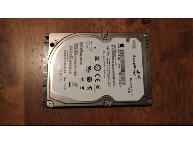 Hard disk Seagate 250GB , SATA II , 99% helta