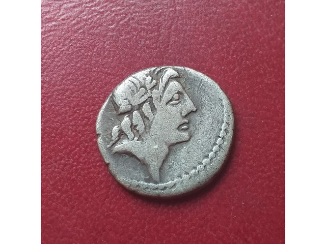 CAECILIA denarius