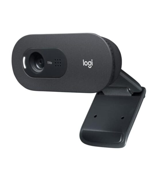 LOGITECH C505E Long Range HD web kamera OEM