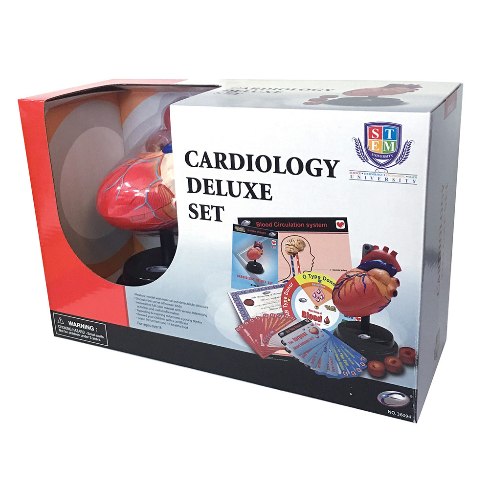 Anatomija srca set