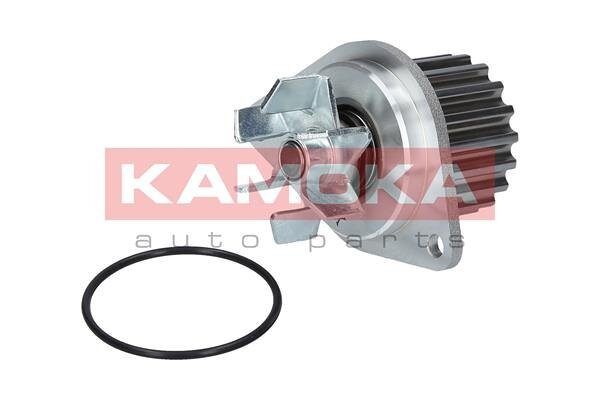 Pumpa za vodu T0089 - Citroen C2 06-