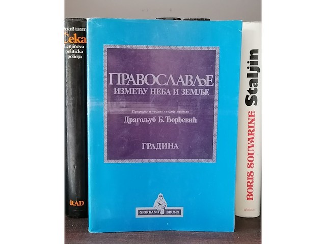 Pravoslavlje između neba i zemlje  Dragoljub Đorđevi