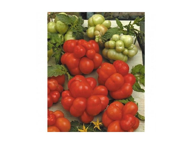 Voyager paradajz (seme) Heirloom