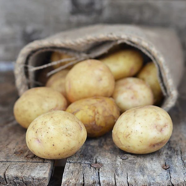 Krompir iz dzaka